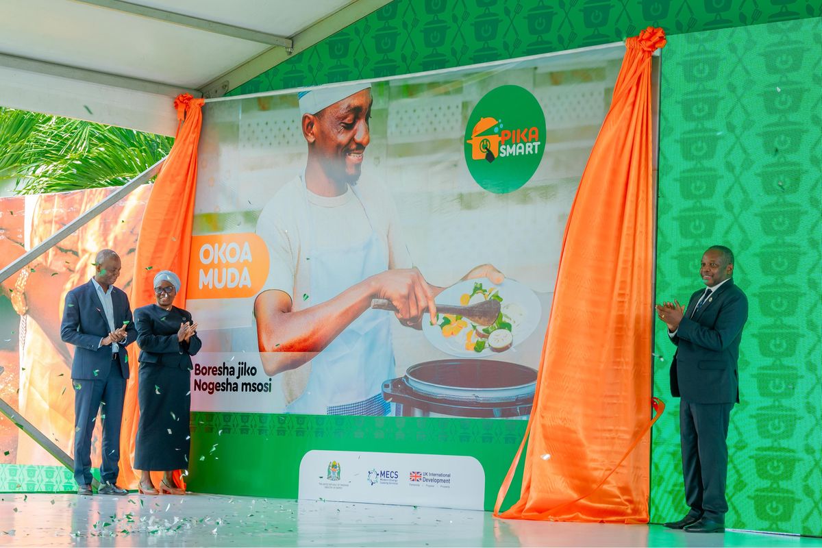 Tanzania steps up drive toward clean cooking with launch of national ...