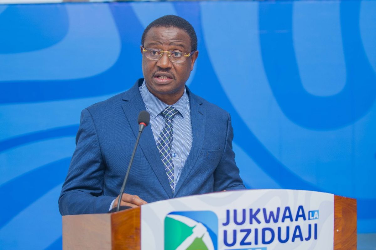 Stakeholders push for inclusive, sustainable mining in Tanzania | The ...