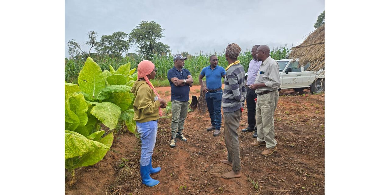 Mkwawa Leaf Tobacco Limited developing tobacco sector and empowering ...