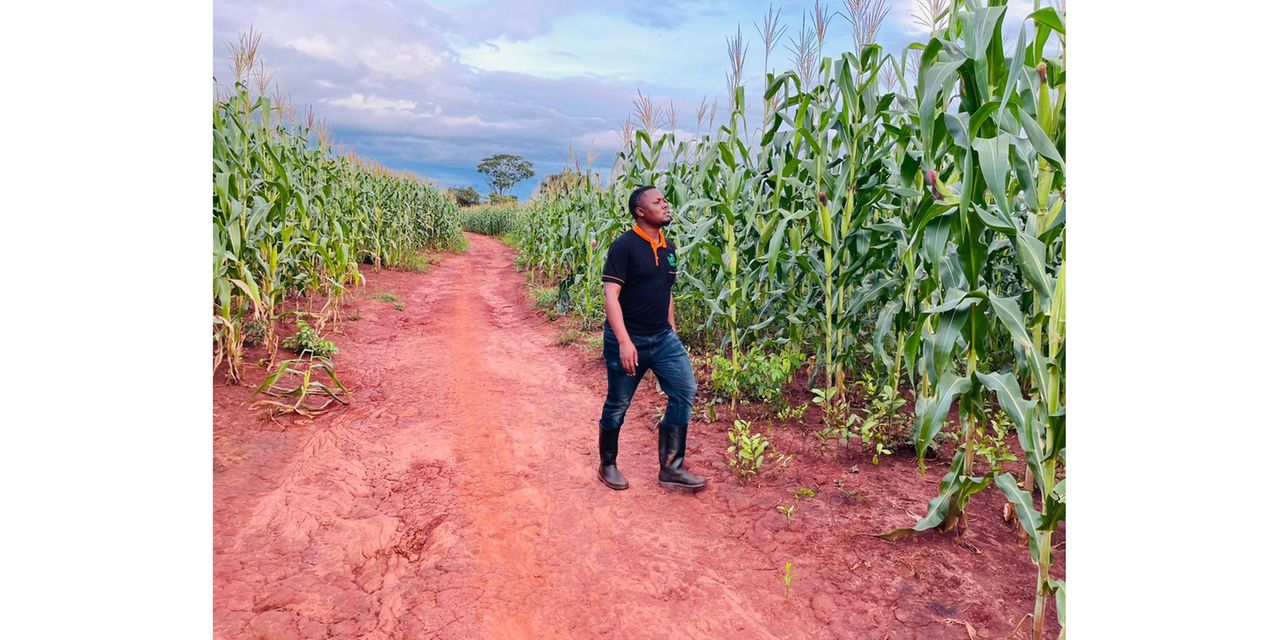 From hoe to hope: How Lucas Malembo is redefining agribusiness in ...