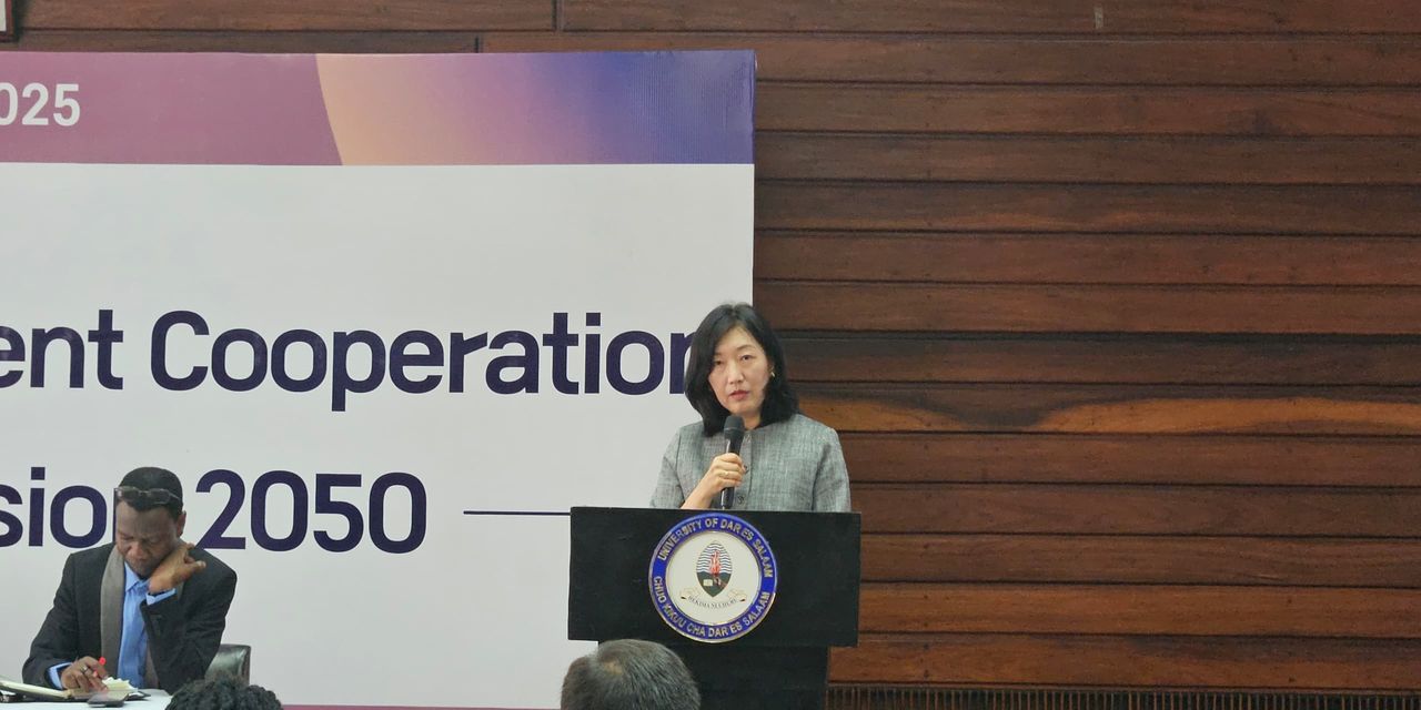Tanzania taps Korean model to drive Vision 2050 agenda | The Citizen