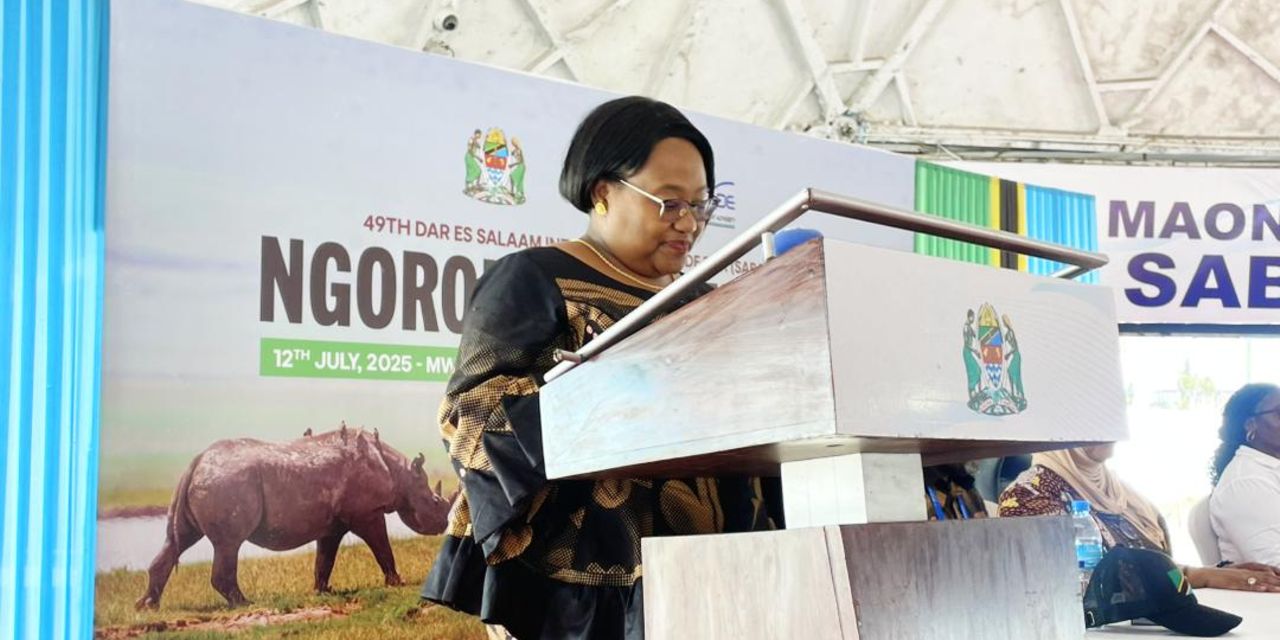Tanzania aims for 8 million annual tourists by 2030 in economic growth ...