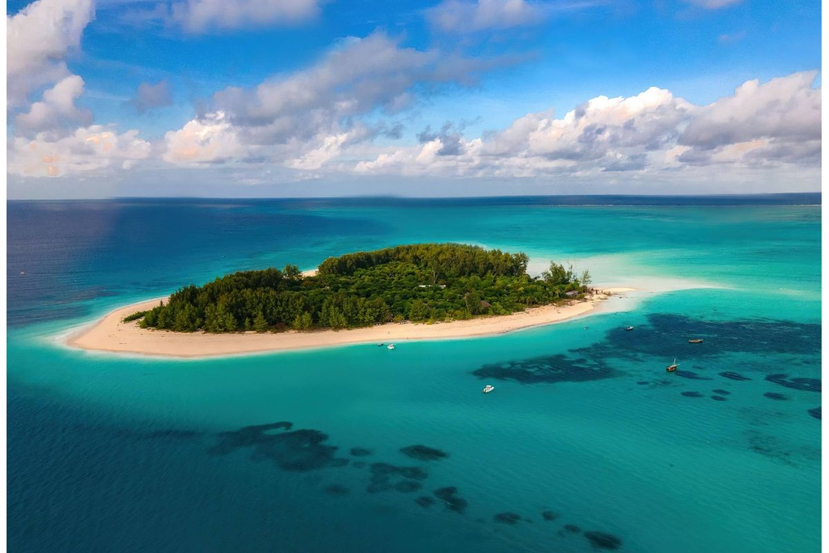 Zanzibar revises marine park entry fees | The Citizen