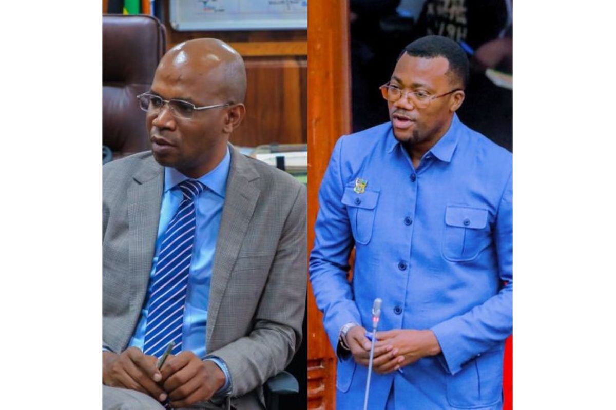 Tanzanian MPs Mpina, Makamba speak out after being dropped from CCM ...