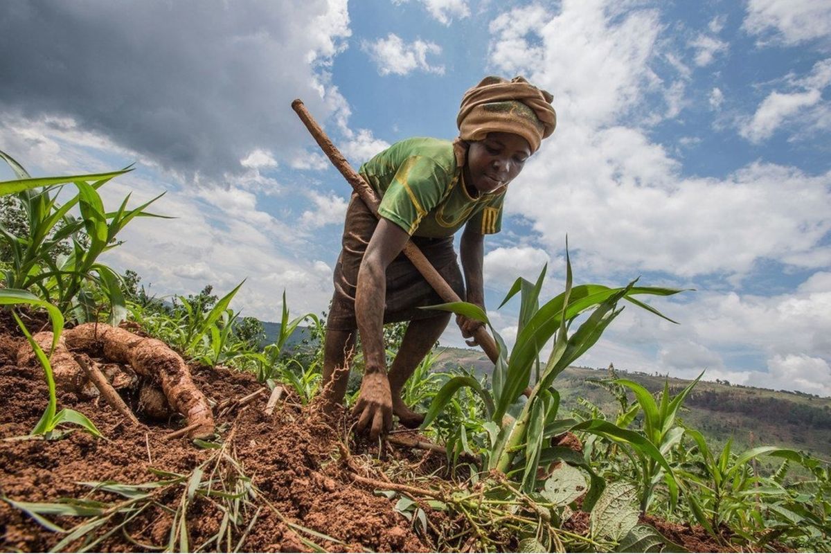 Why Nane Nane deserves a rethink | The Citizen