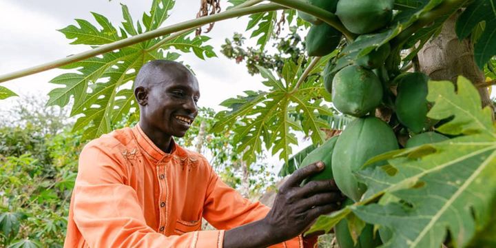 Misconceptions delay hydrocele treatment along Tanzania’s coast | The ...