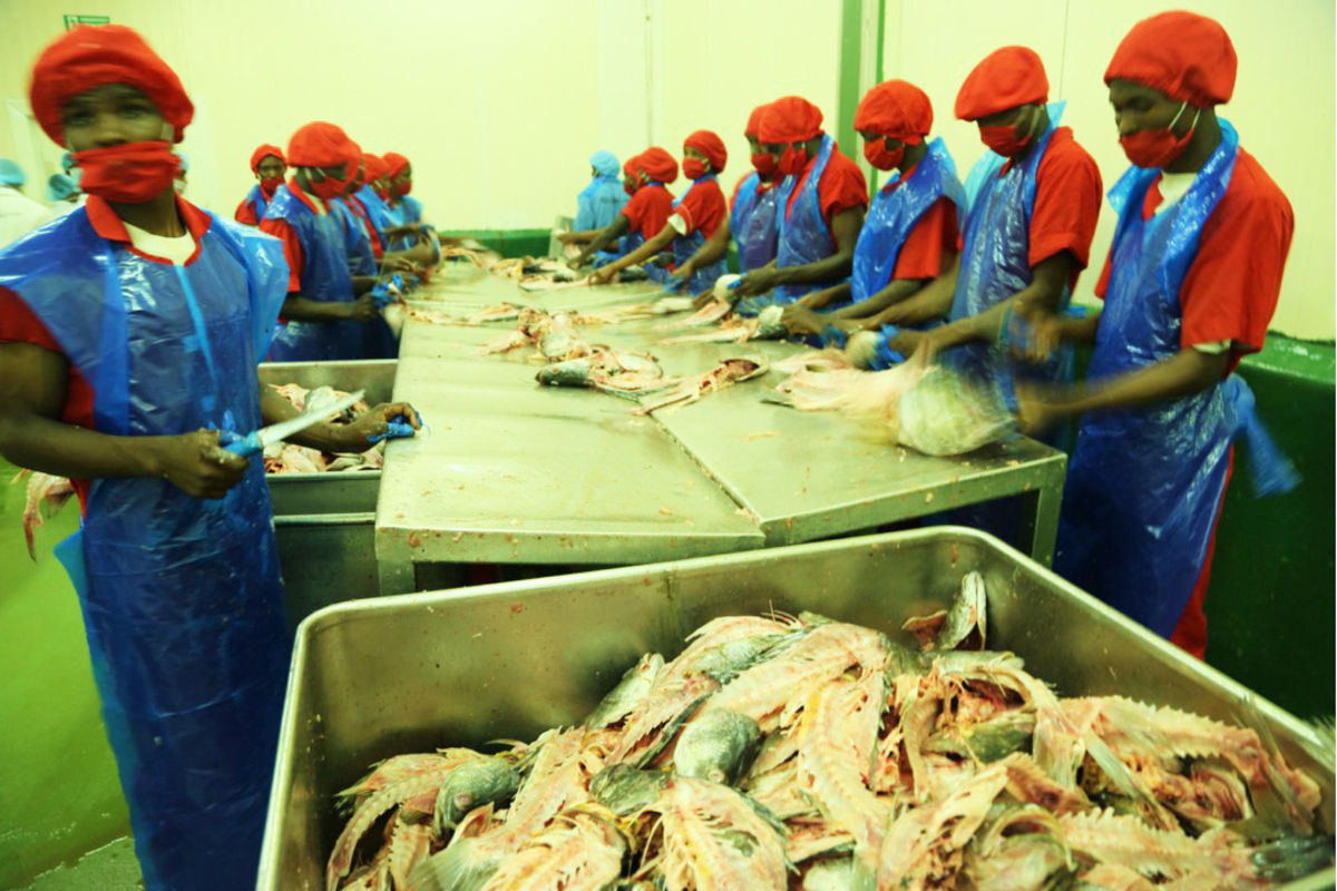 CUF puts jobs at the centre of 2025 election manifesto | The Citizen