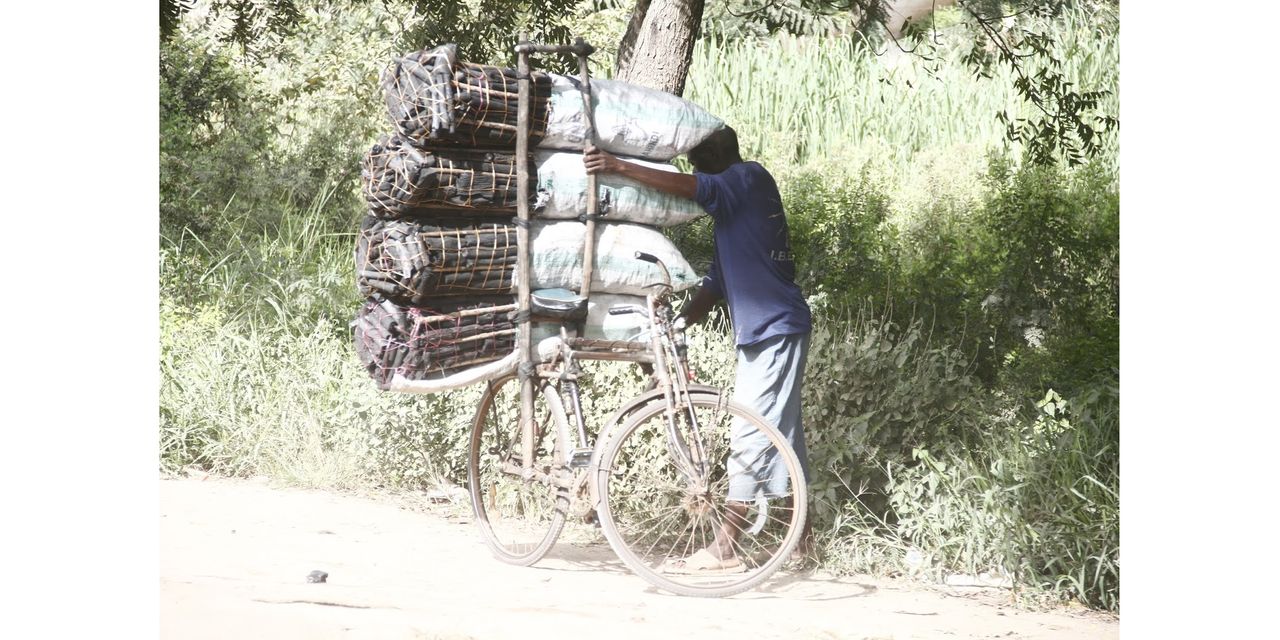 Charcoal trade on the rise despite clean energy push | The Citizen