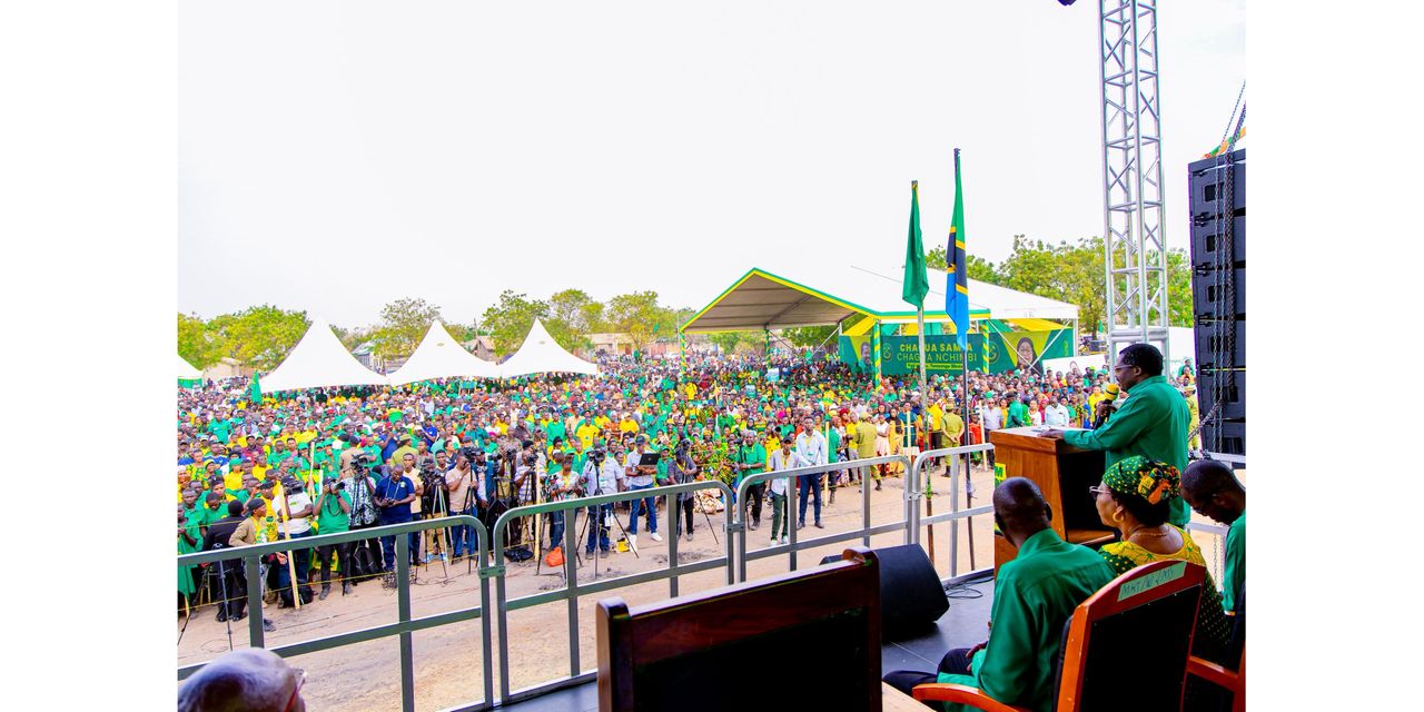 Dr Nchimbi: We will strengthen democracy and media freedom | The Citizen