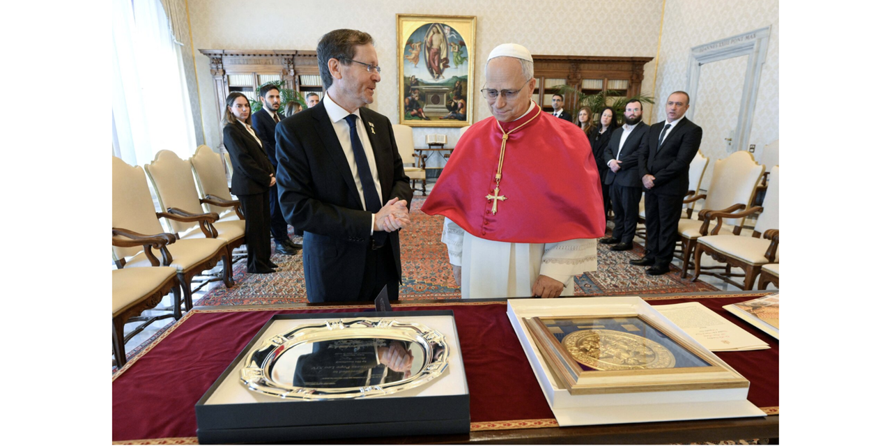 Pope Leo raises 'tragic situation in Gaza' in meeting with Israeli ...