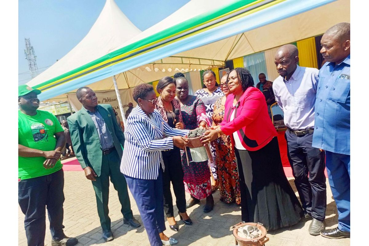 Mbeya prisons cut costs, protect the environment via clean energy | The ...