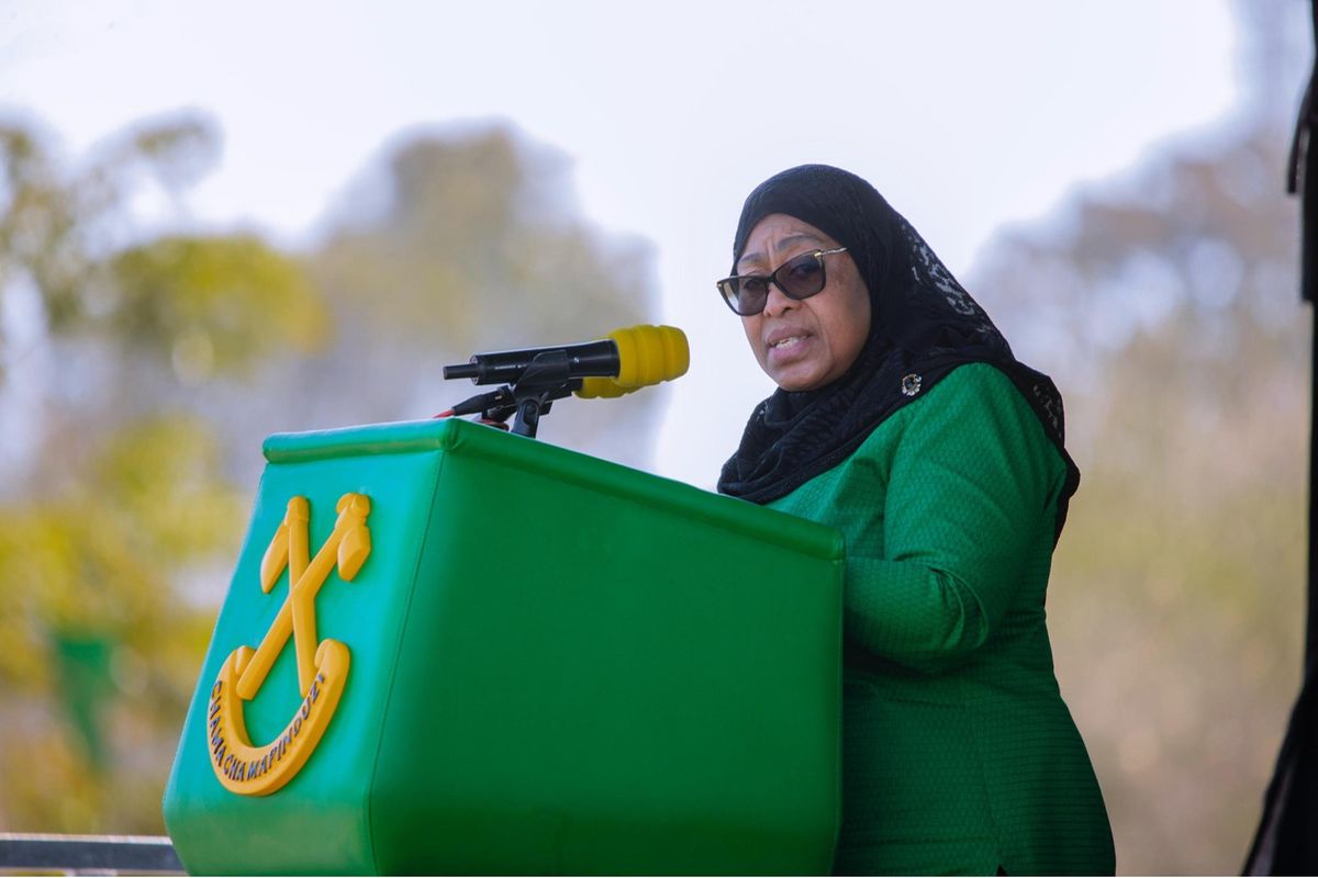 Samia pushes for inclusive economy on southern highlands campaign trail ...