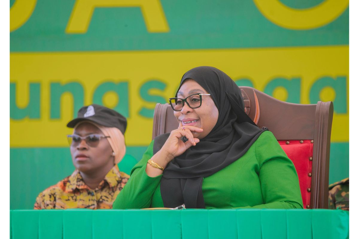 Samia unveils plan to integrate SGR with Kigoma Port | The Citizen