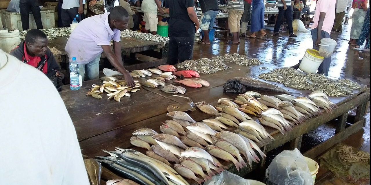 Tanzania allocates site for international fish market in Pangani | The ...