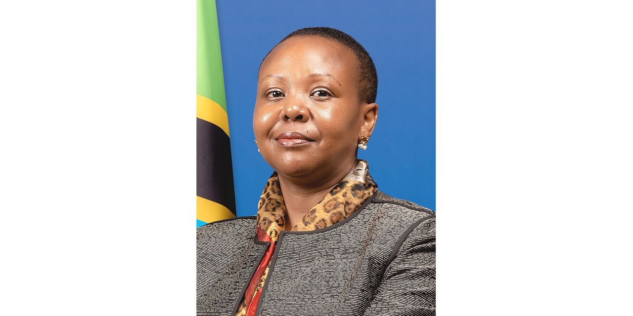 Why Elsie Kanza is Tanzania’s quiet force in Washington | The Citizen