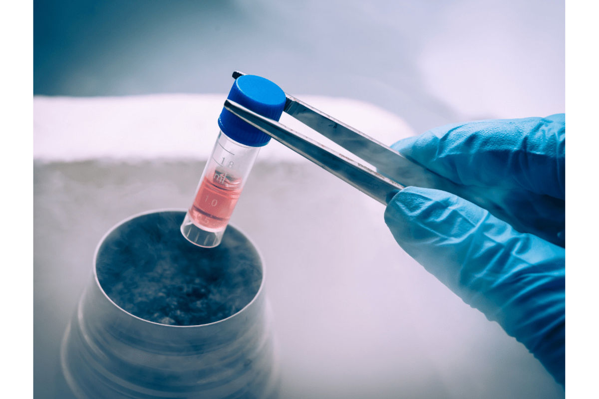 Stem-cell therapy transforms the future of plastic surgery | The Citizen