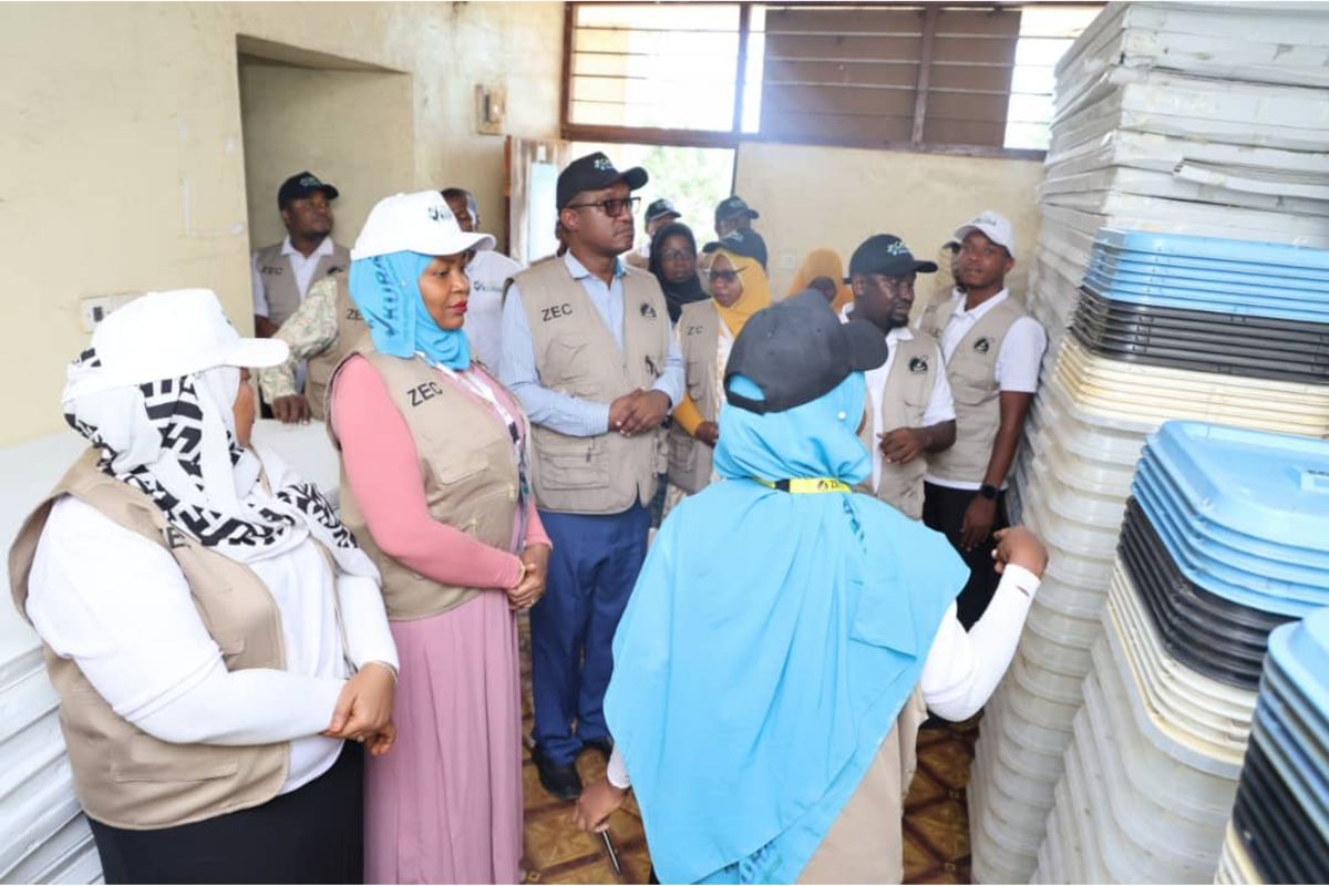 ZEC sets early voting dates, calls for applications | The Citizen