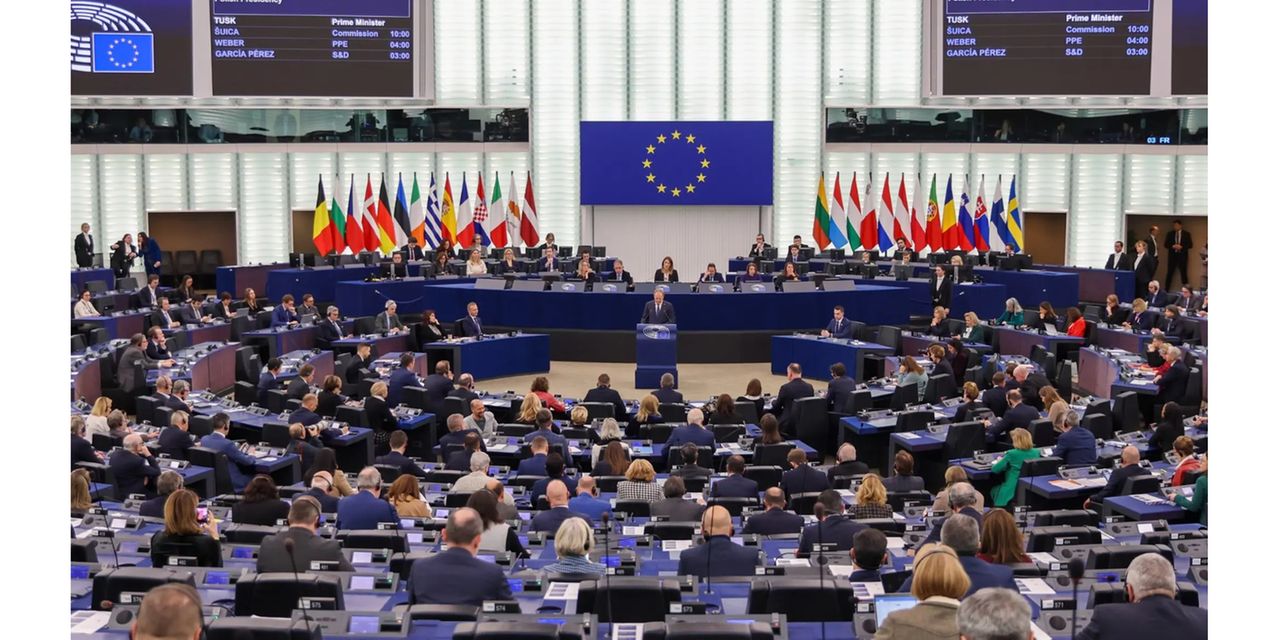 European MPs, human rights' body call for urgent action over Polepole ...