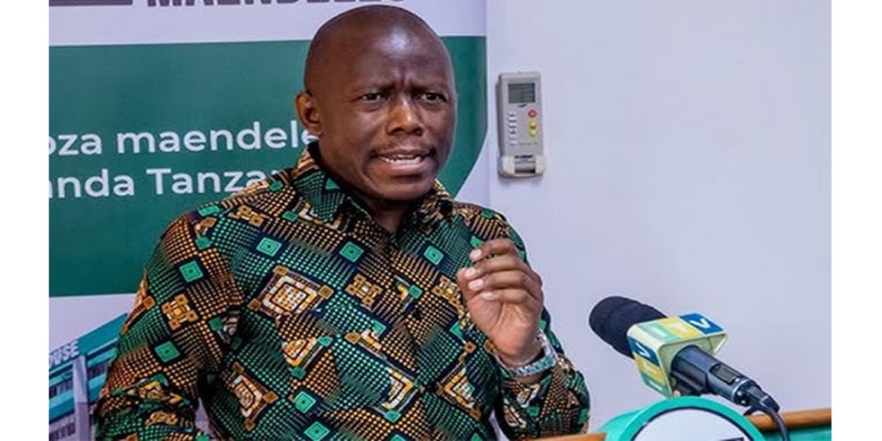 European MPs, human rights' body call for urgent action over Polepole ...