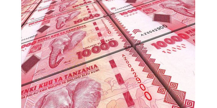 Fresh hope for Tanzanian businesses seeking financing | The Citizen