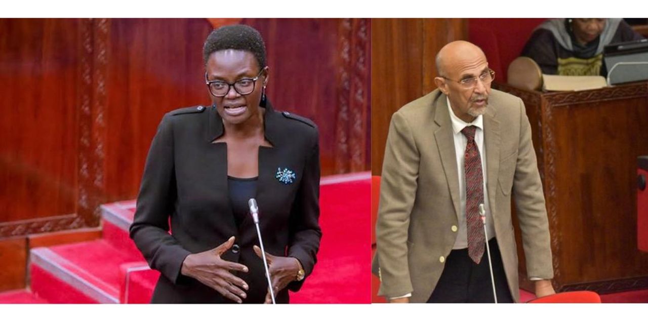 Zungu challenges Tulia in the race for Speaker’s seat | The Citizen