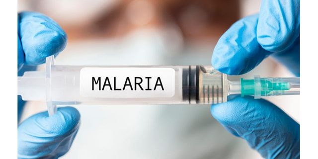 New Tanzanian Malaria vaccine shows strong immune response in early ...