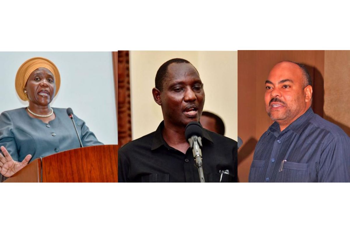 Analysts: Samia’s MP choices signal continuity, CCM unity | The Citizen