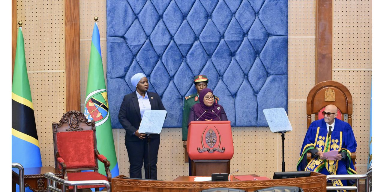 Samia sets blueprint to transform education and health sectors | The ...