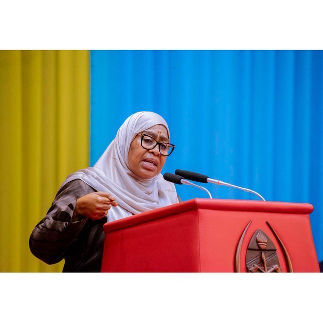 Samia defends how security forces handled October protests | The Citizen