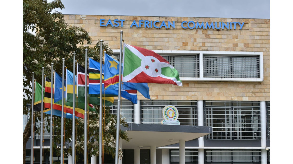 Strategic pipeline: What Tanzania can learn from the EACOP project ...