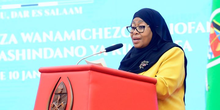 Samia explains decision to bring Kabudi back to State House | The Citizen