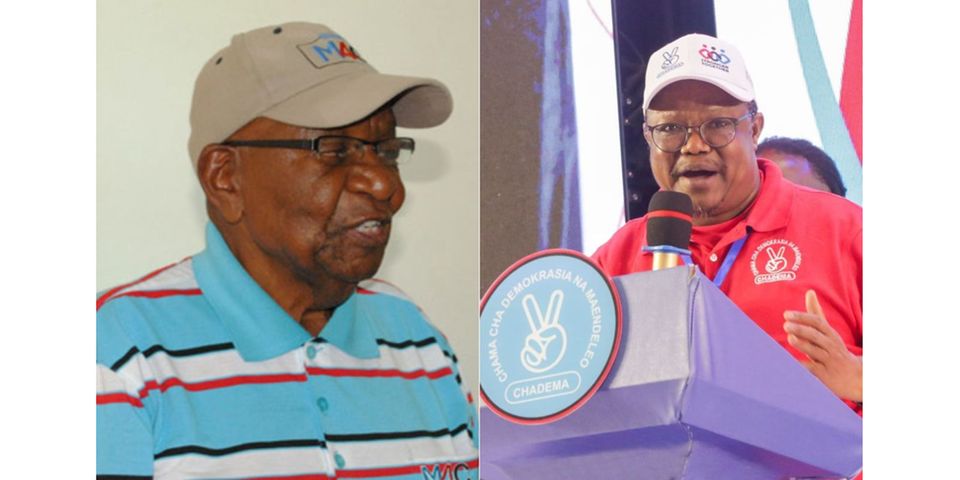 Lissu to send special message in honour of Chadema founder Edwin Mtei ...