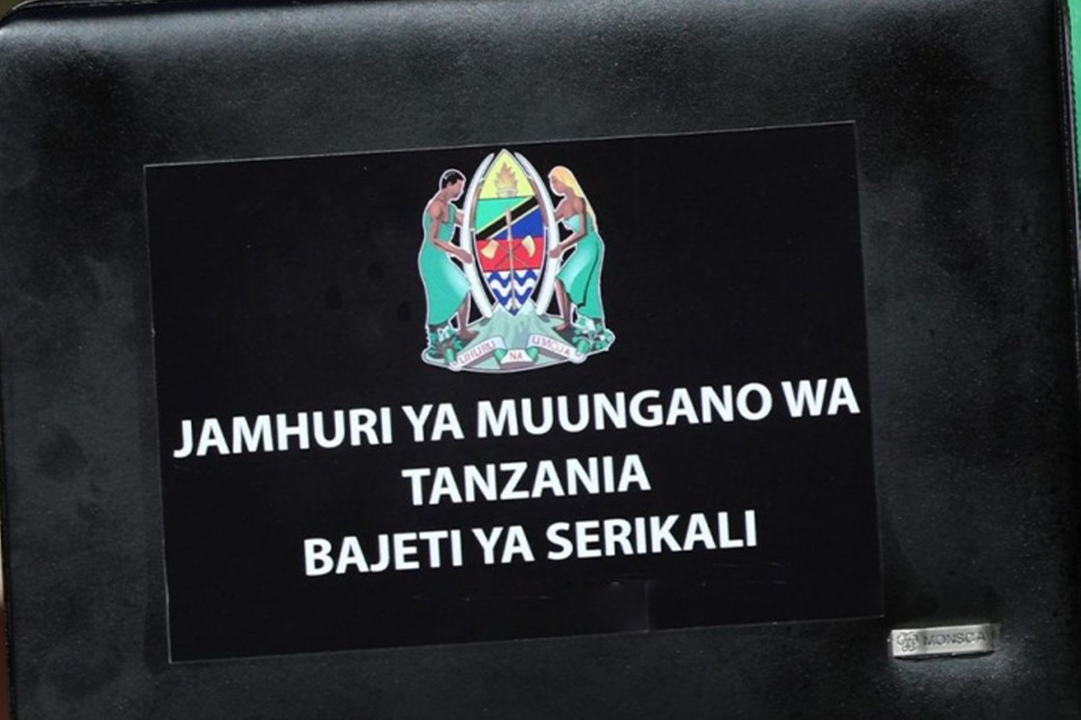Rebalancing Tanzania’s budget cycle | The Citizen