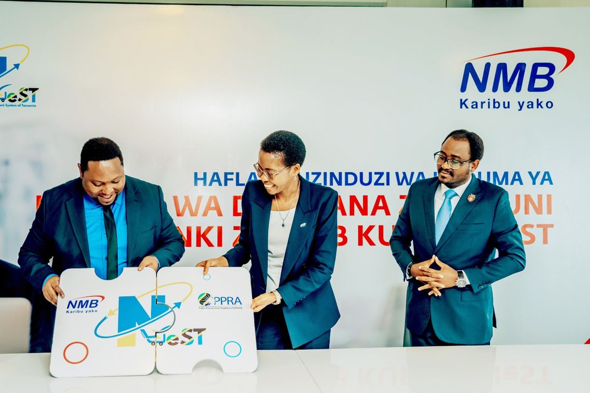 NMB integrates with NeST for instant verification of public tender ...
