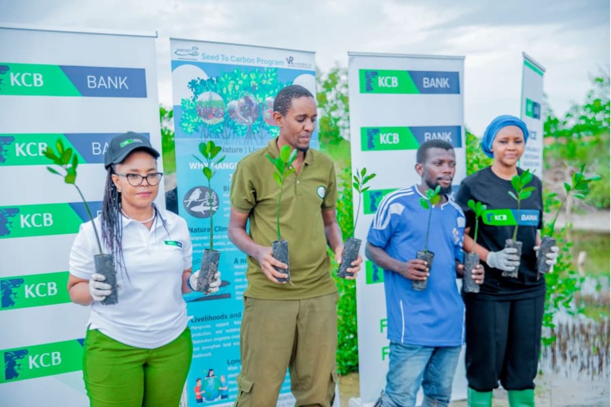 KCB Tanzania plants 1,000 trees in Kondo to boost environmental ...