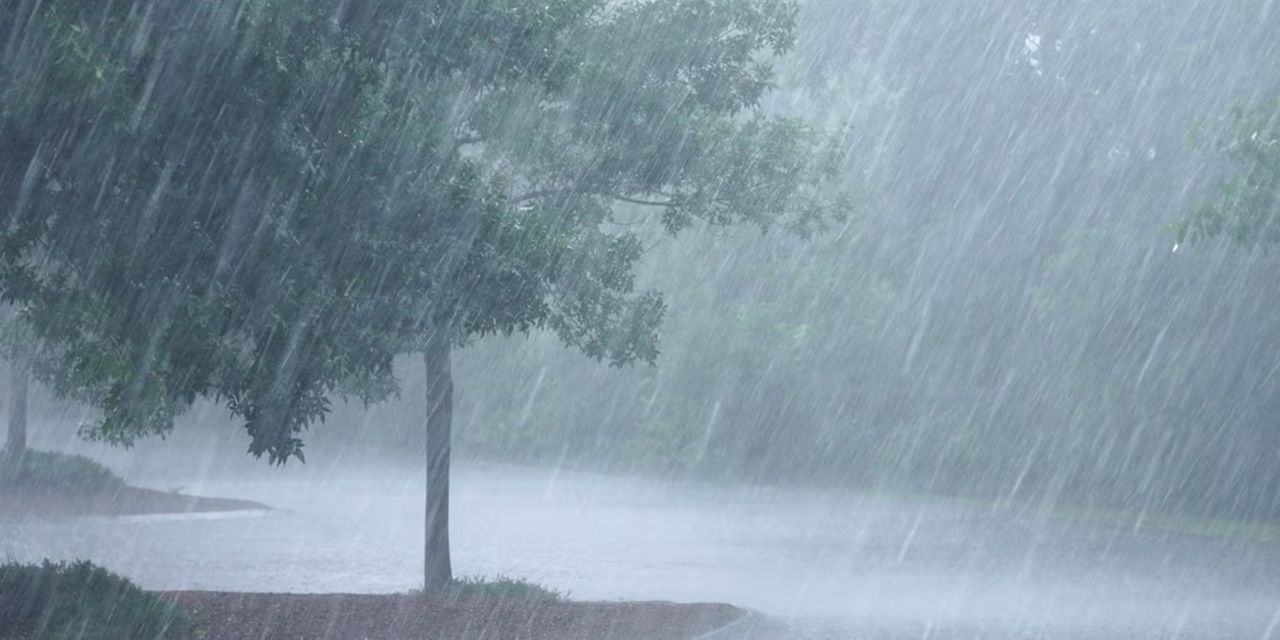 Weatherman issues nationwide alert as heavy rains loom across key ...