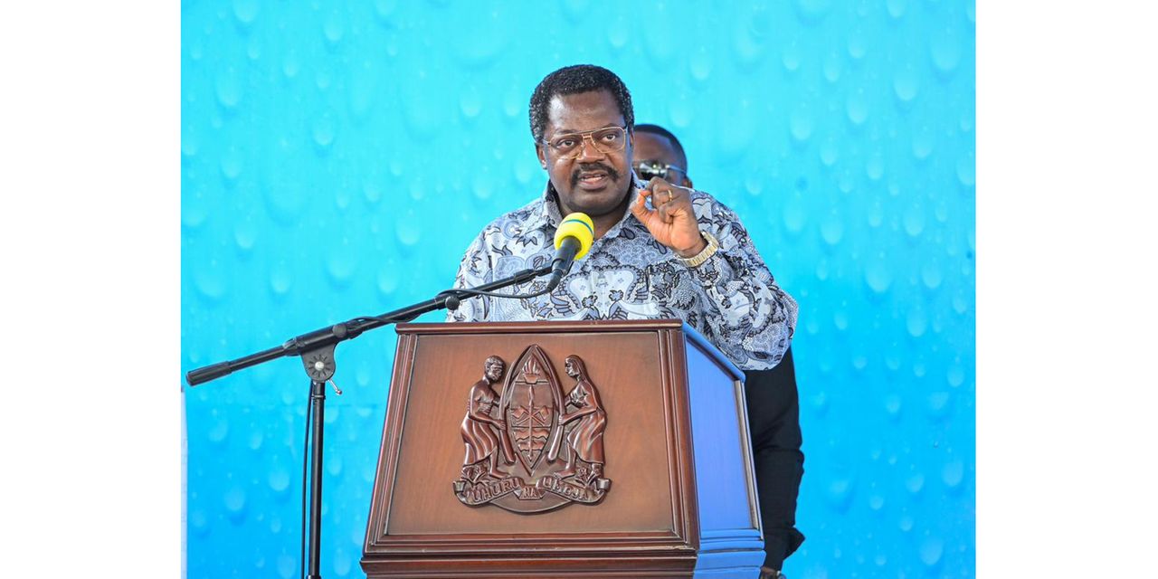 VP Nchimbi pushes public-private partnership as private sector invests ...