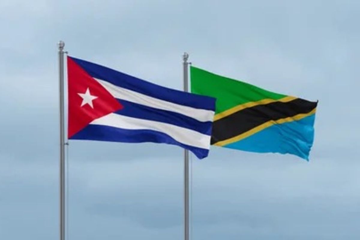 Cuba turns to Tanzanian media, calls for global South unity as US ...