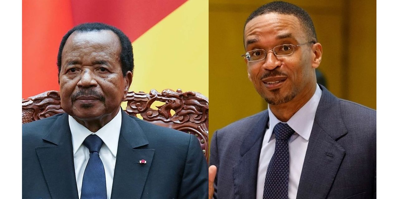 Cameroon’s President Biya names son Vice-President amid succession ...