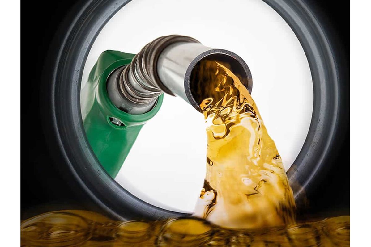Fuel crisis fears grip Parliament as MPs push drastic spending cuts ...