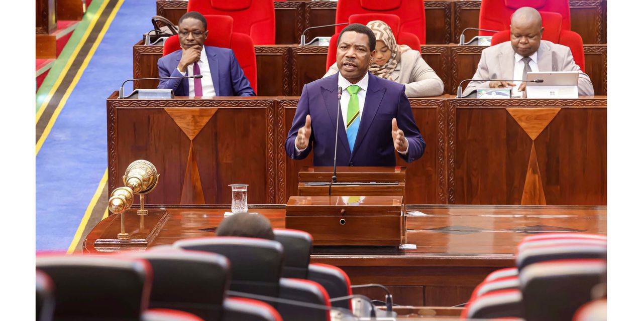 Graduates in Tanzania to use certificates as loan collateral | The Citizen