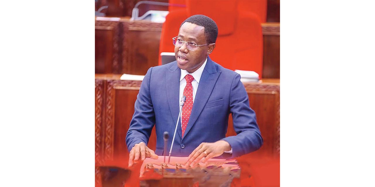 Inside Tanzania’s ambitious youth empowerment drive | The Citizen