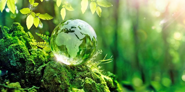 Tanzania invites citizens into carbon business as 99 projects register ...