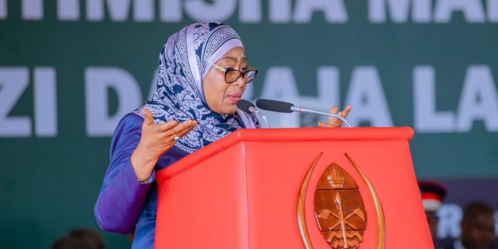 Samia forms new criminal inquiry commission into 2025 election violence ...