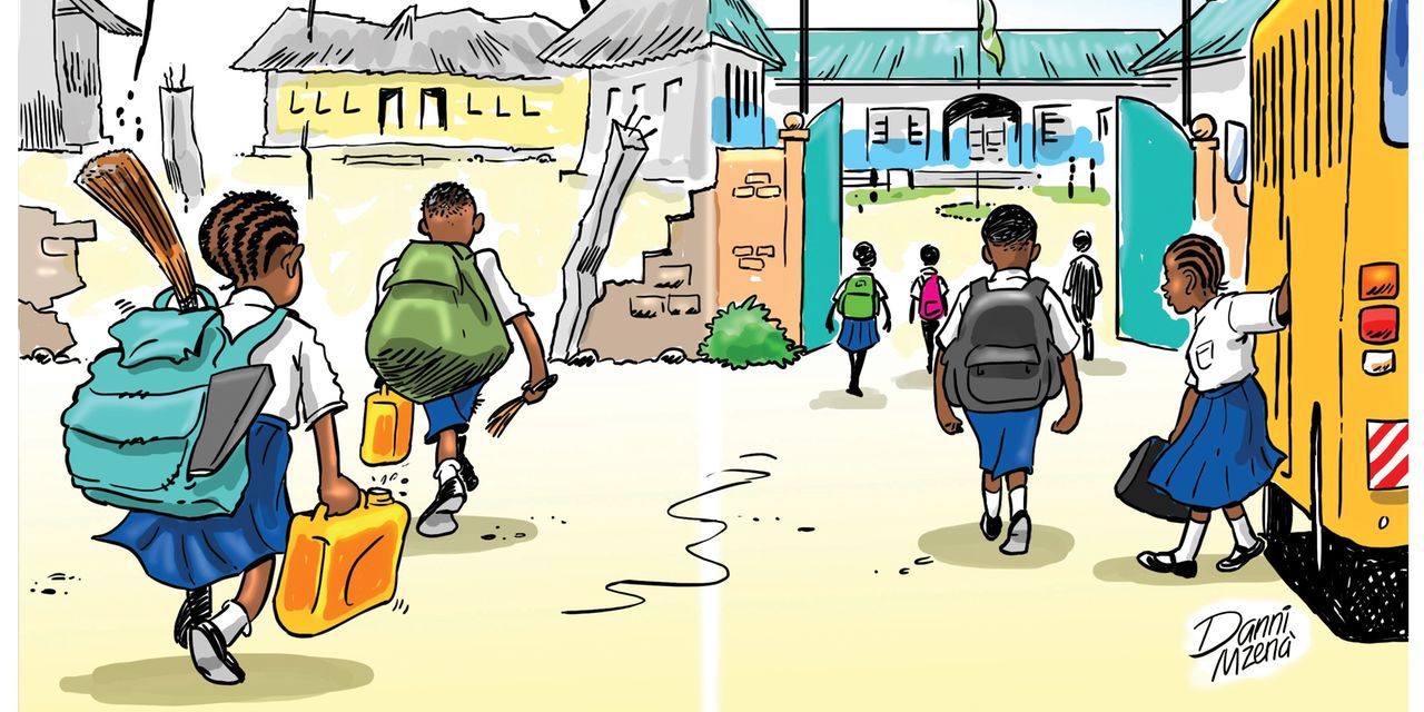 Inside Tanzania’s emerging 2-tier public school system | The Citizen
