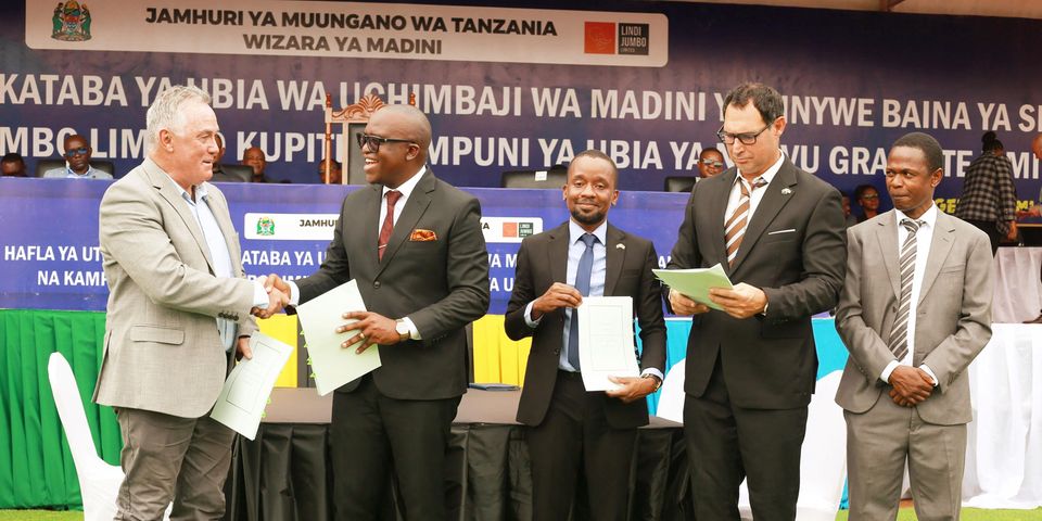 Government acquires 16 percent stake in graphite project | The Citizen