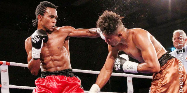 TPBRC targets affordable MRI, CT scans to improve boxer safety | The ...