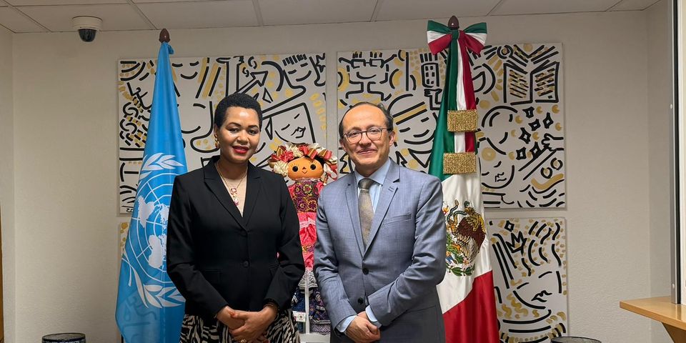 Tanzania, Mexico build momentum for partnership | The Citizen
