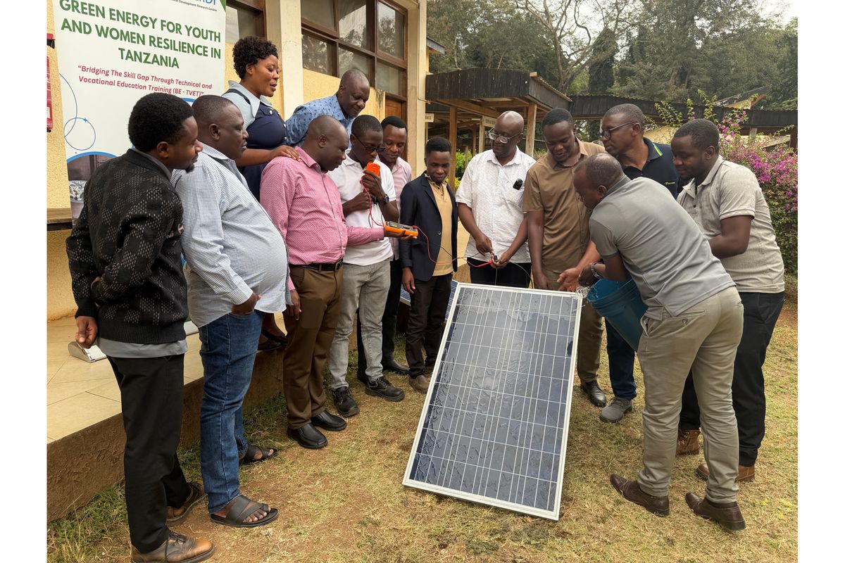 New training programme targets clean energy skills gap | The Citizen